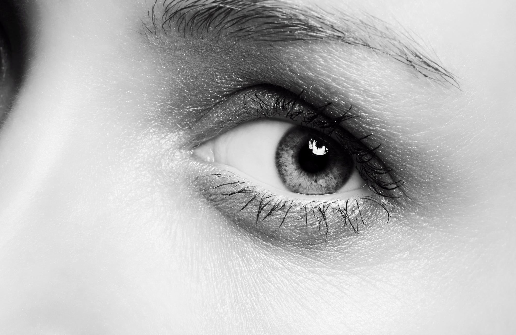 Eye Care Coverage in Canada: Provincial Guide | FYidoctors